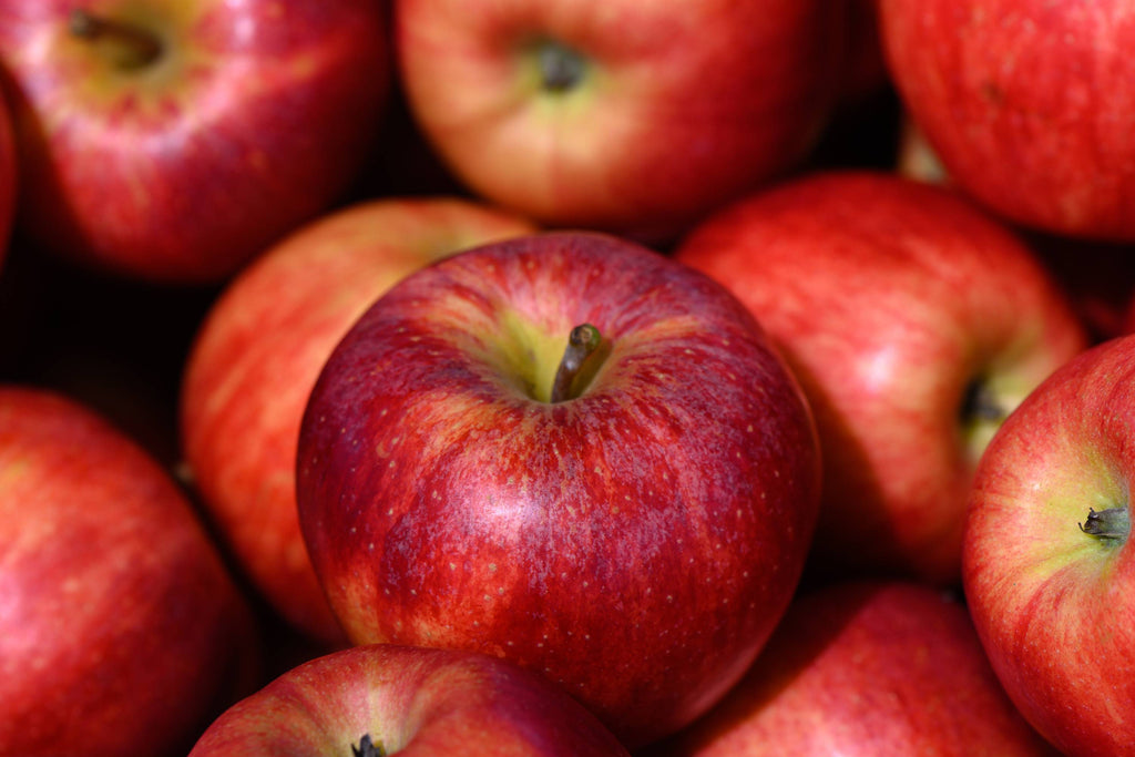 Apfel-Fakten: Geschichte, Kulinarik und mehr 🍎
